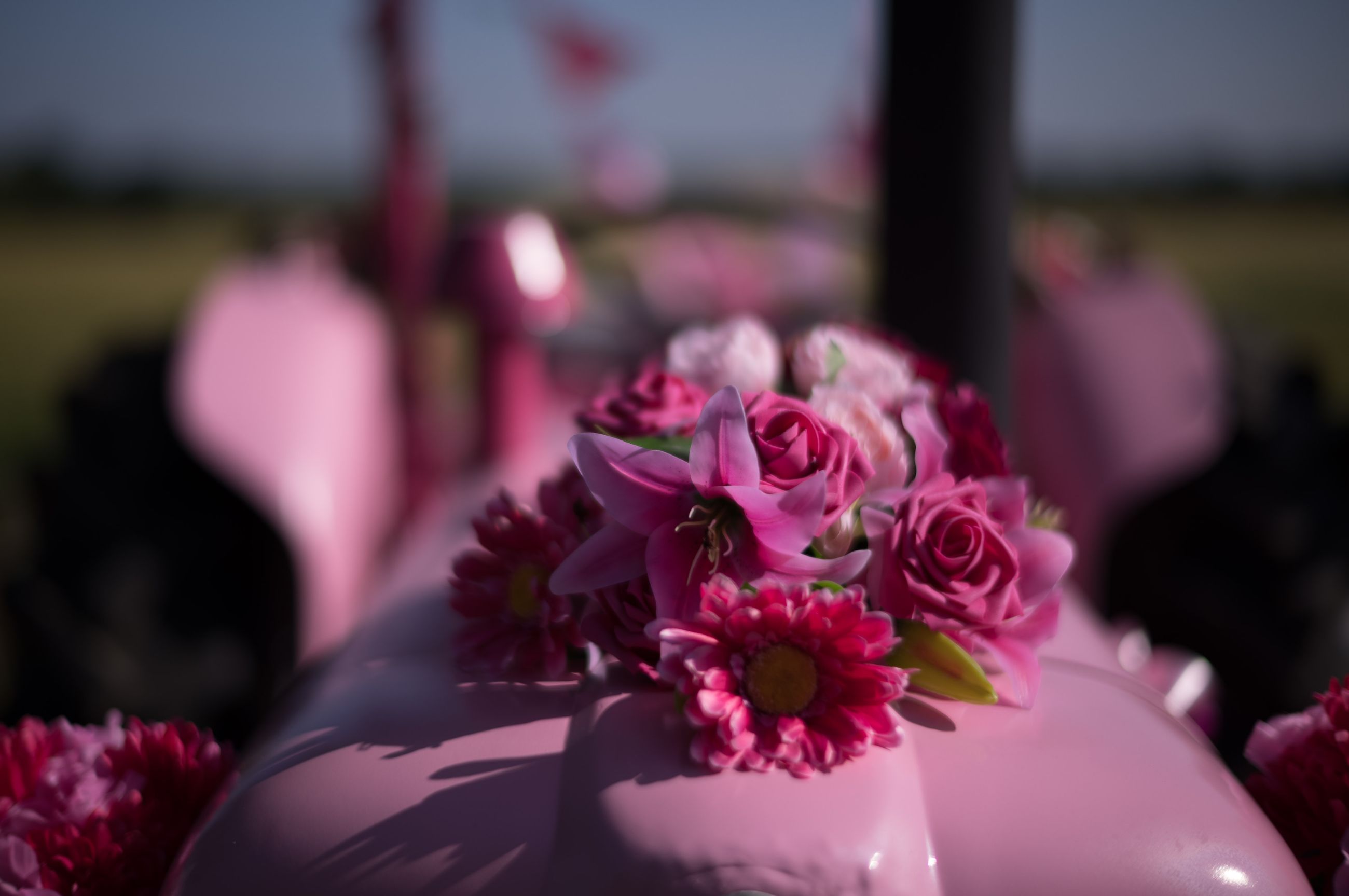 Jonathan Slack Photography