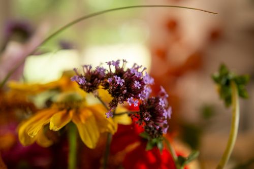 Jonathan Slack Photography