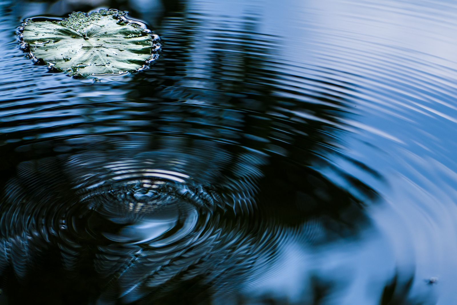 Jonathan Slack Photography