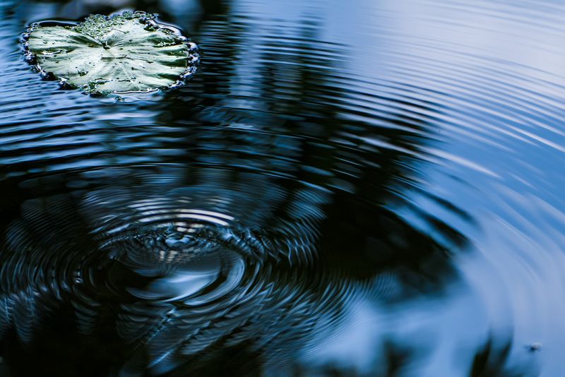 Jonathan Slack Photography