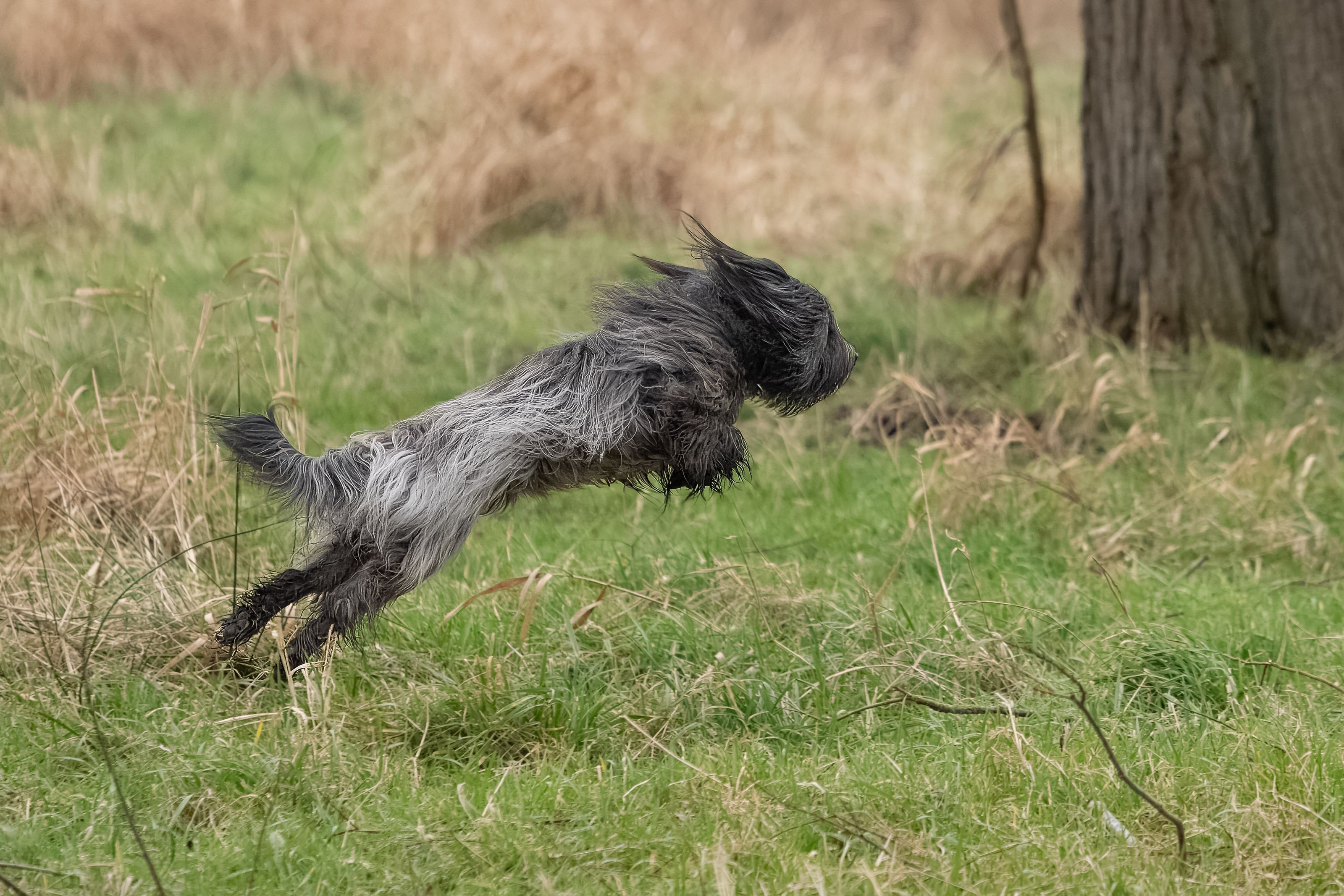 Jonathan Slack Photography