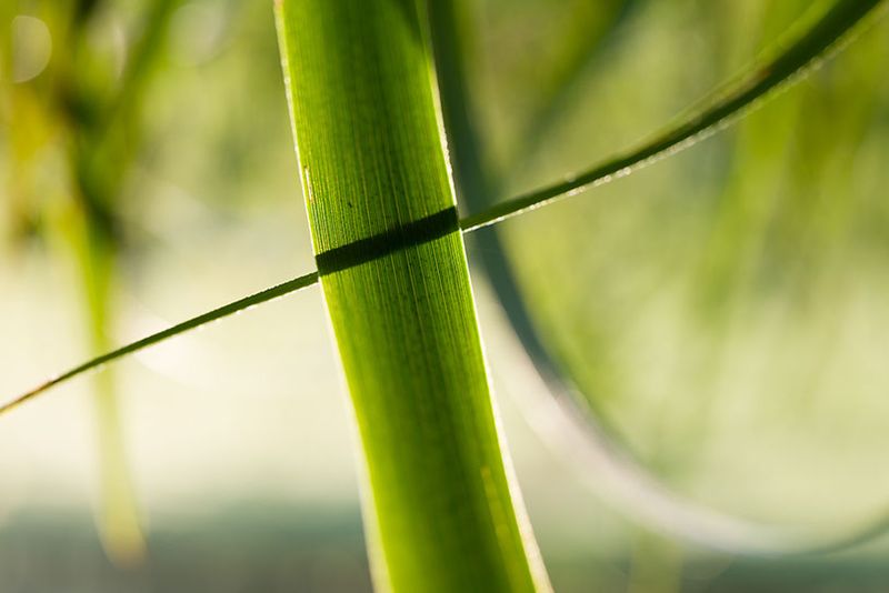 Jonathan Slack Photography