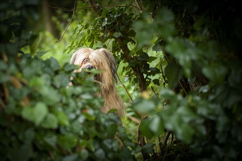 Jonathan Slack Photography