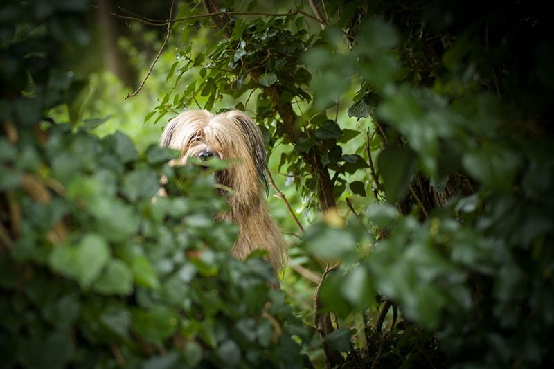 Jonathan Slack Photography