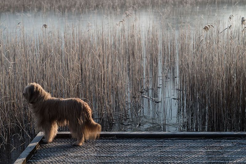 Jonathan Slack Photography